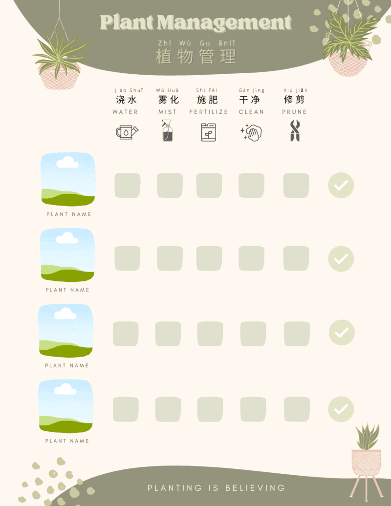 The Ultimate House Plants Indoor Care Checklist for Kids (It's Actually ...