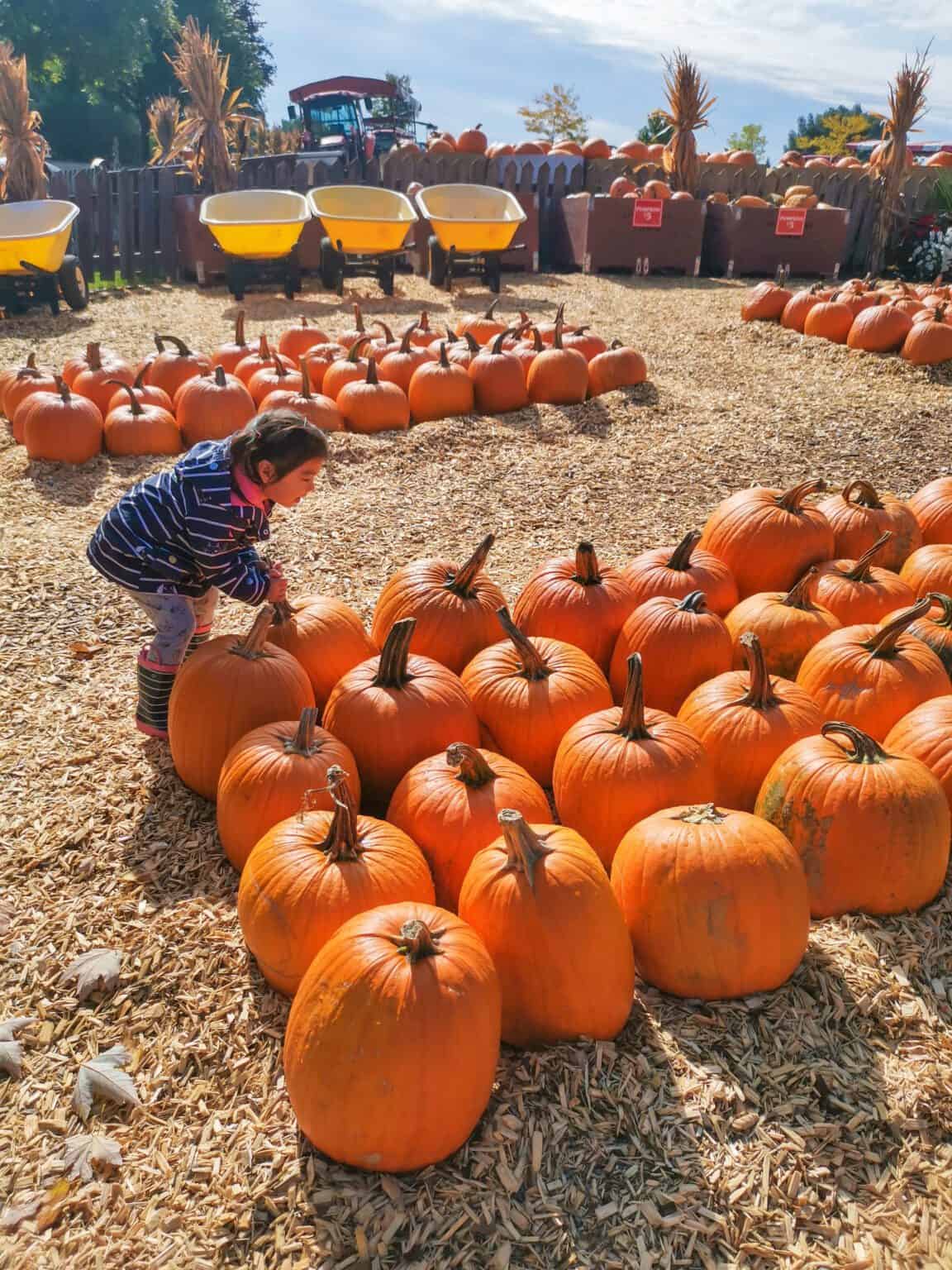 19 Awesome and Spooky Halloween Activities for Kids - Edkids Home