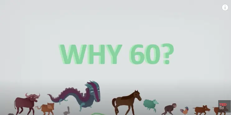 Get Ready for Chinese New Year With These Free Zodiac Animals ...