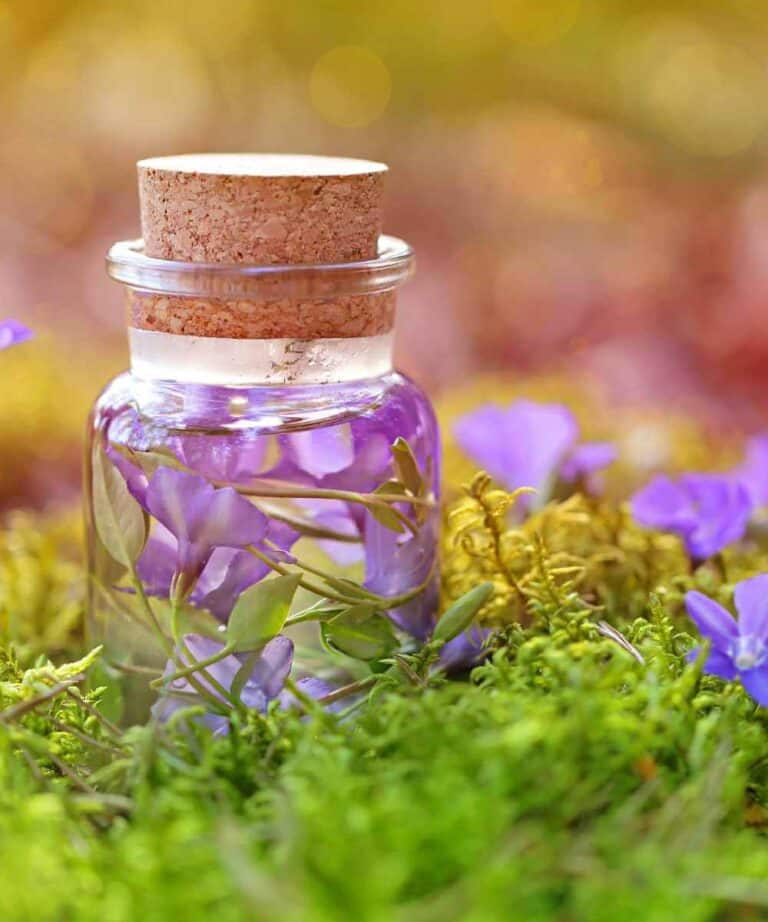 9 Best Spring Activities For Kids (As Well As Families!) - Edkids Home